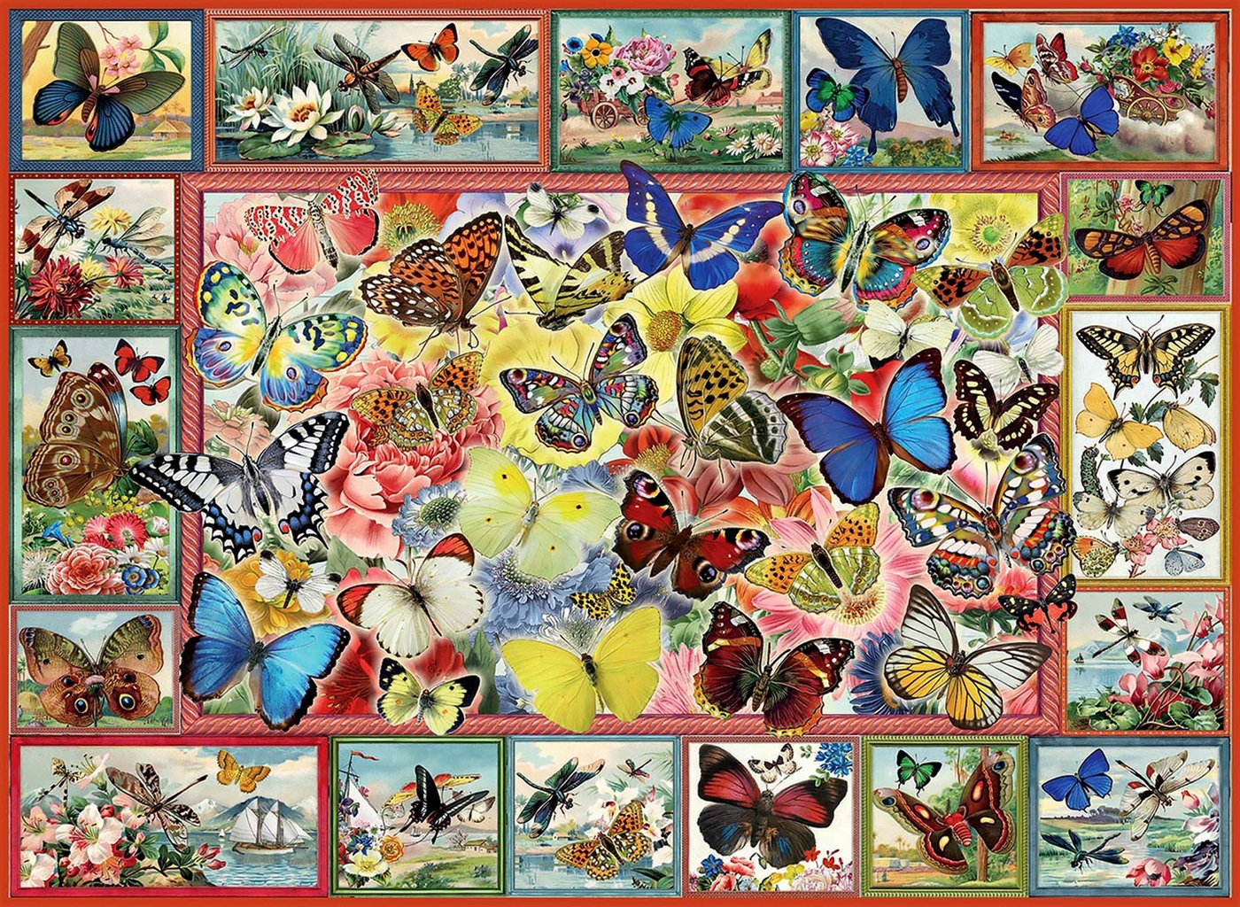 Lots Of Butterflies - Perre / Anatolian - 1000 pieces | jigsawpu…