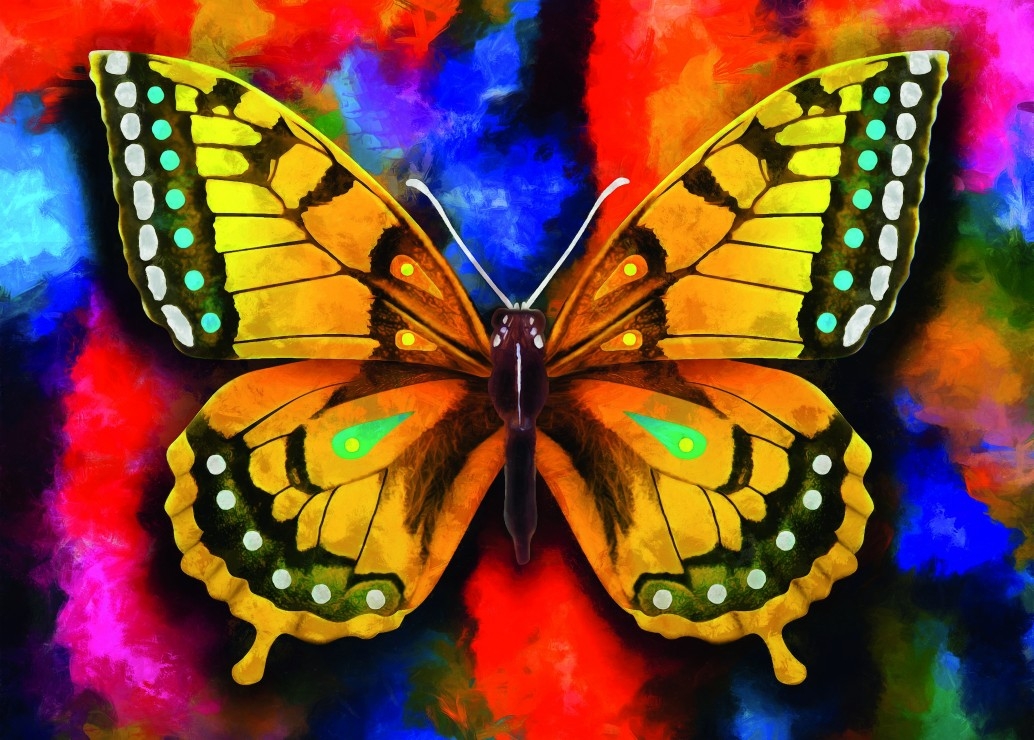 Papillon - Grafika - 500 pieces | jigsawpuzzle.co.uk