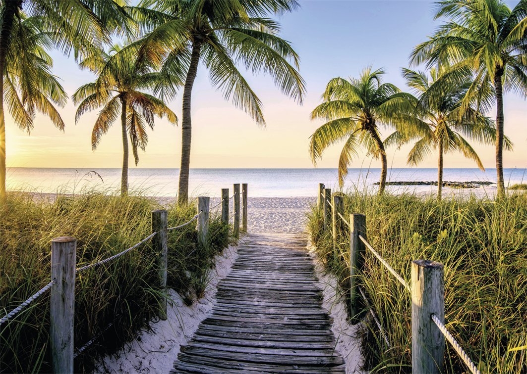 Strand von Florida - Nathan - 1000 pieces | jigsawpuzzle.co.uk